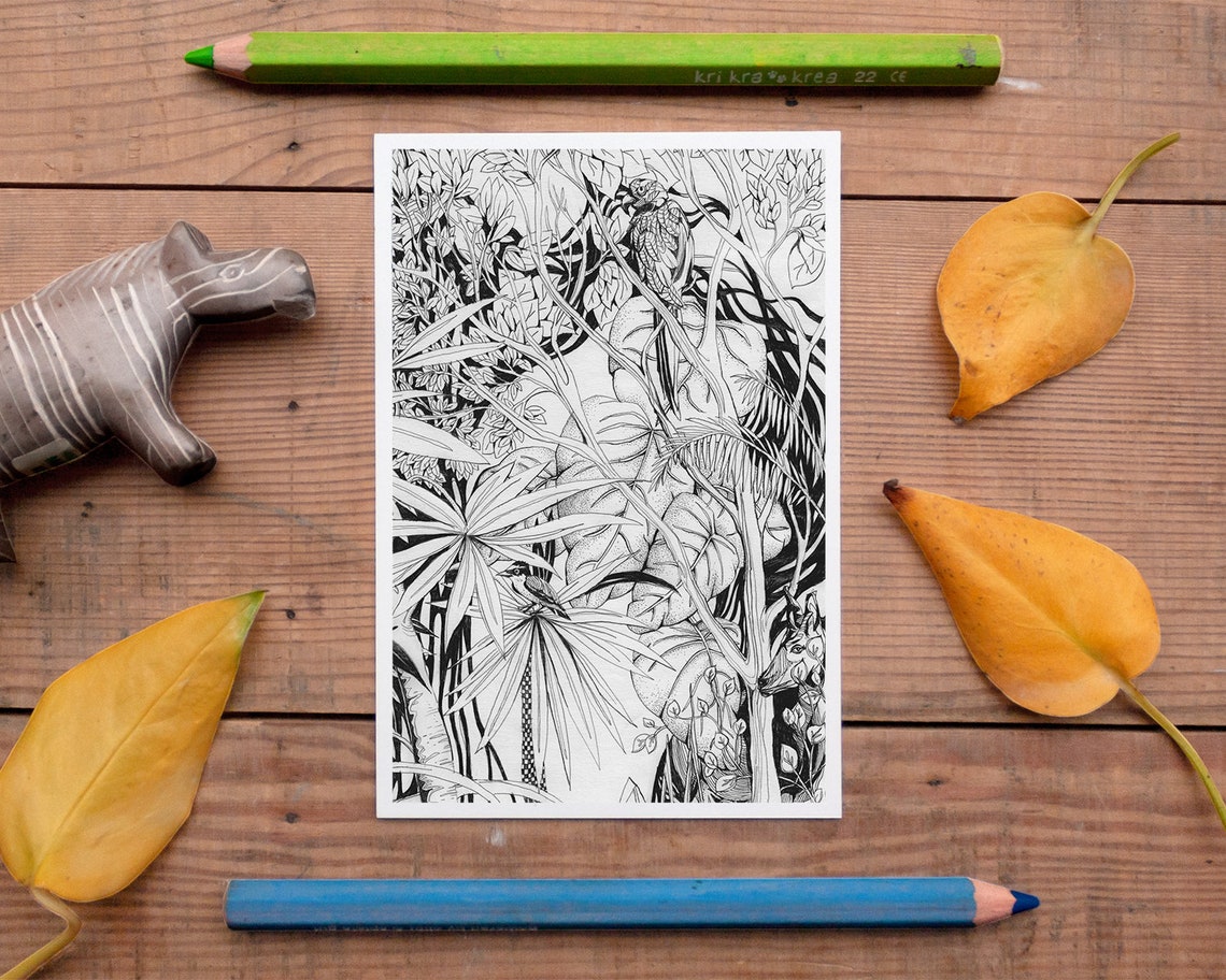 4 Jungle Postcards Set Rainforest Decor Jungle Tree Picture | Etsy