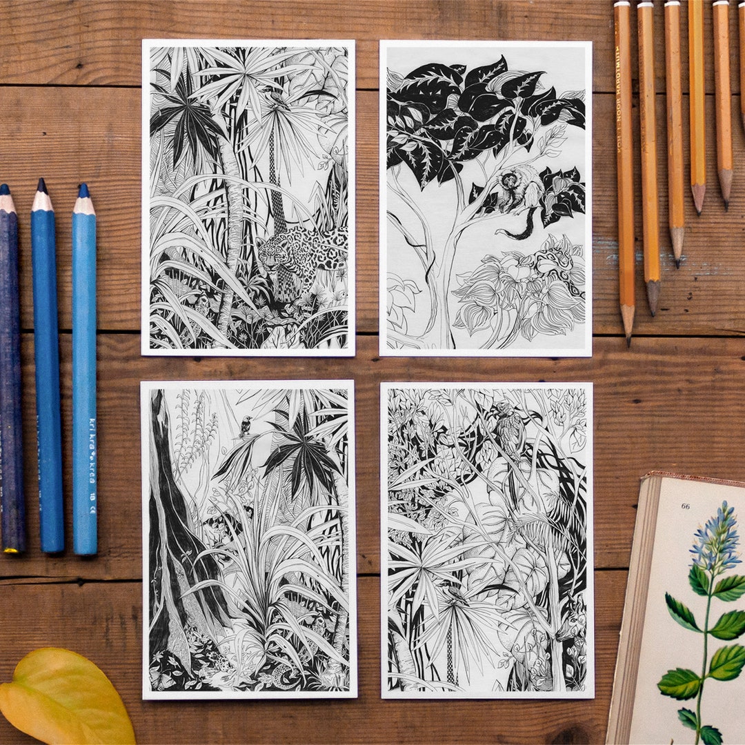 4 Jungle Postcards Set, Rainforest Decor, Jungle Tree Picture ...
