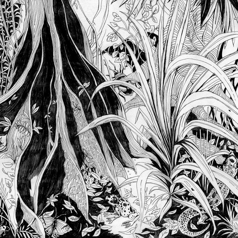 Jungle Drawing, Landscape Format, Fine Art Print, Tropical Decor ...