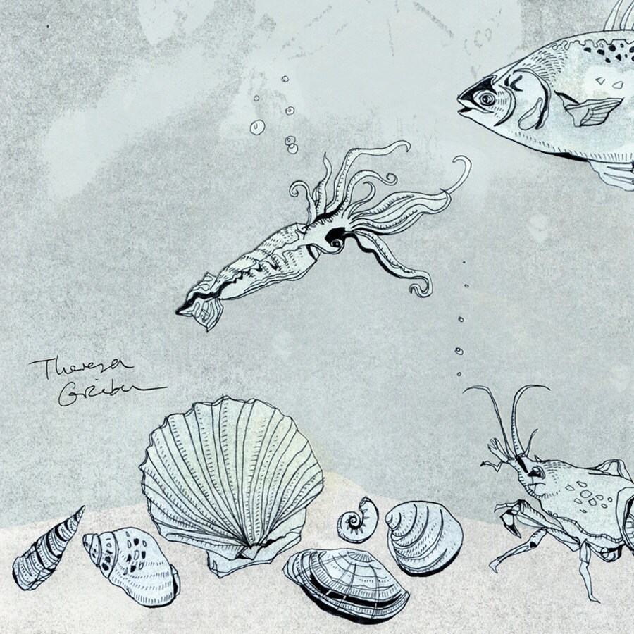 Sea Life Print New Zealand Fish Art Print Maritime | Etsy