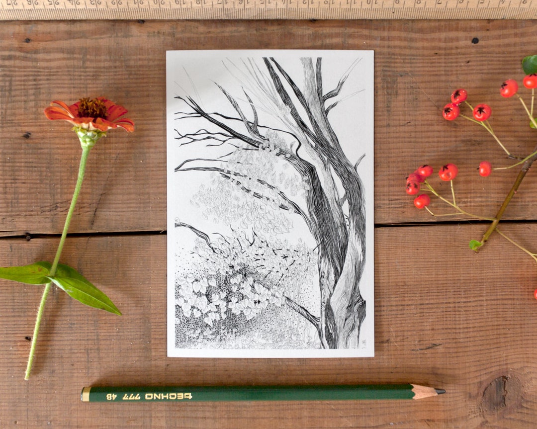 Tree Postcard, Art Postcard, Woodland Card, Nature Artwork ...