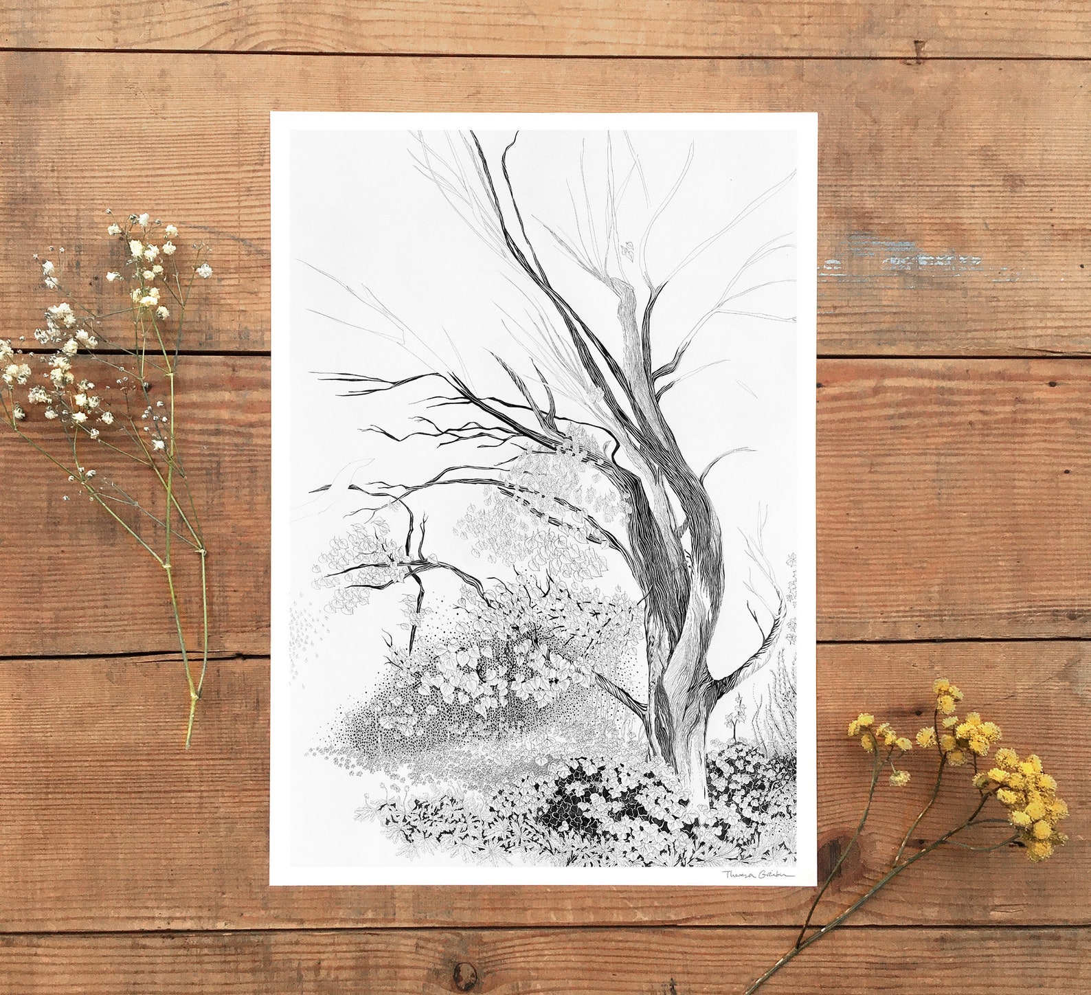 Tree Drawing Woodland Print Woodland Nature Decor Tree - Etsy