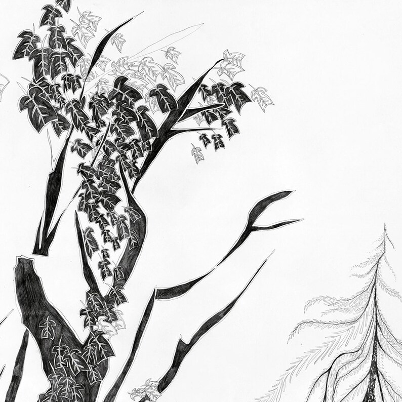 Tree Print Fine Art Print Tree Drawing Autumn Forest Image - Etsy