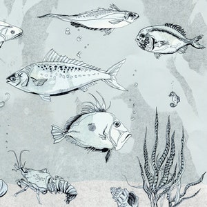 Sea Life Print New Zealand, Fish Art Print, Maritime Illustration, Fish ...