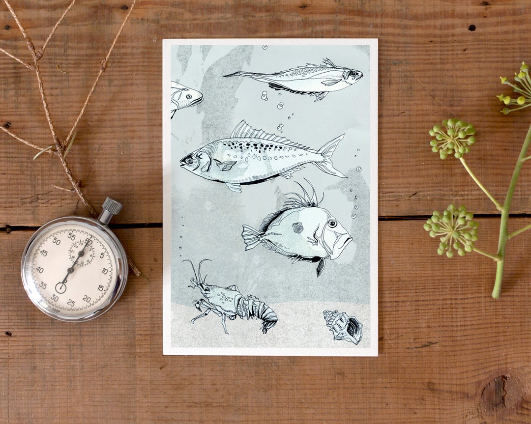 New Zealand Fish Postcard, Scandinavian Art, Sea Life Illustration - Etsy