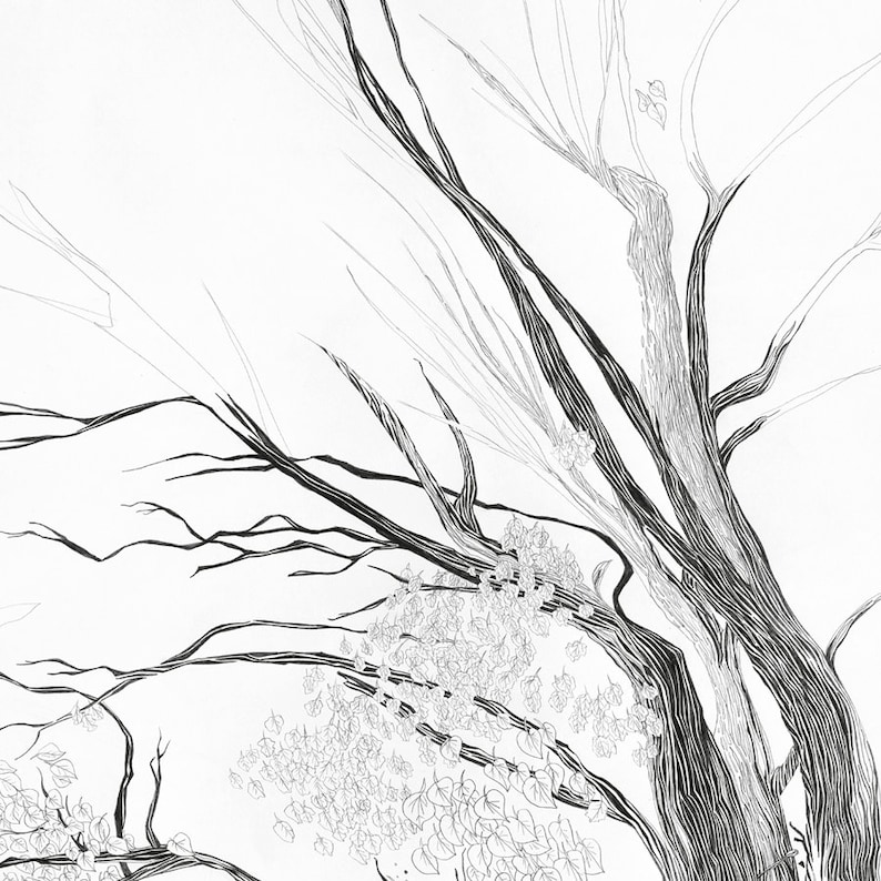 Tree Drawing Woodland Print Woodland Nature Decor Tree - Etsy