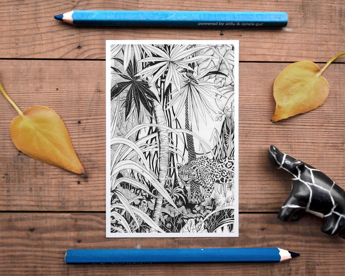 4 Jungle Postcards Set Rainforest Decor Jungle Tree Picture | Etsy