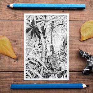 4 Jungle Postcards Set, Rainforest Decor, Jungle Tree Picture ...