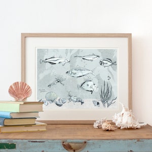 Sea Life Print New Zealand, Fish Art Print, Maritime Illustration, Fish ...