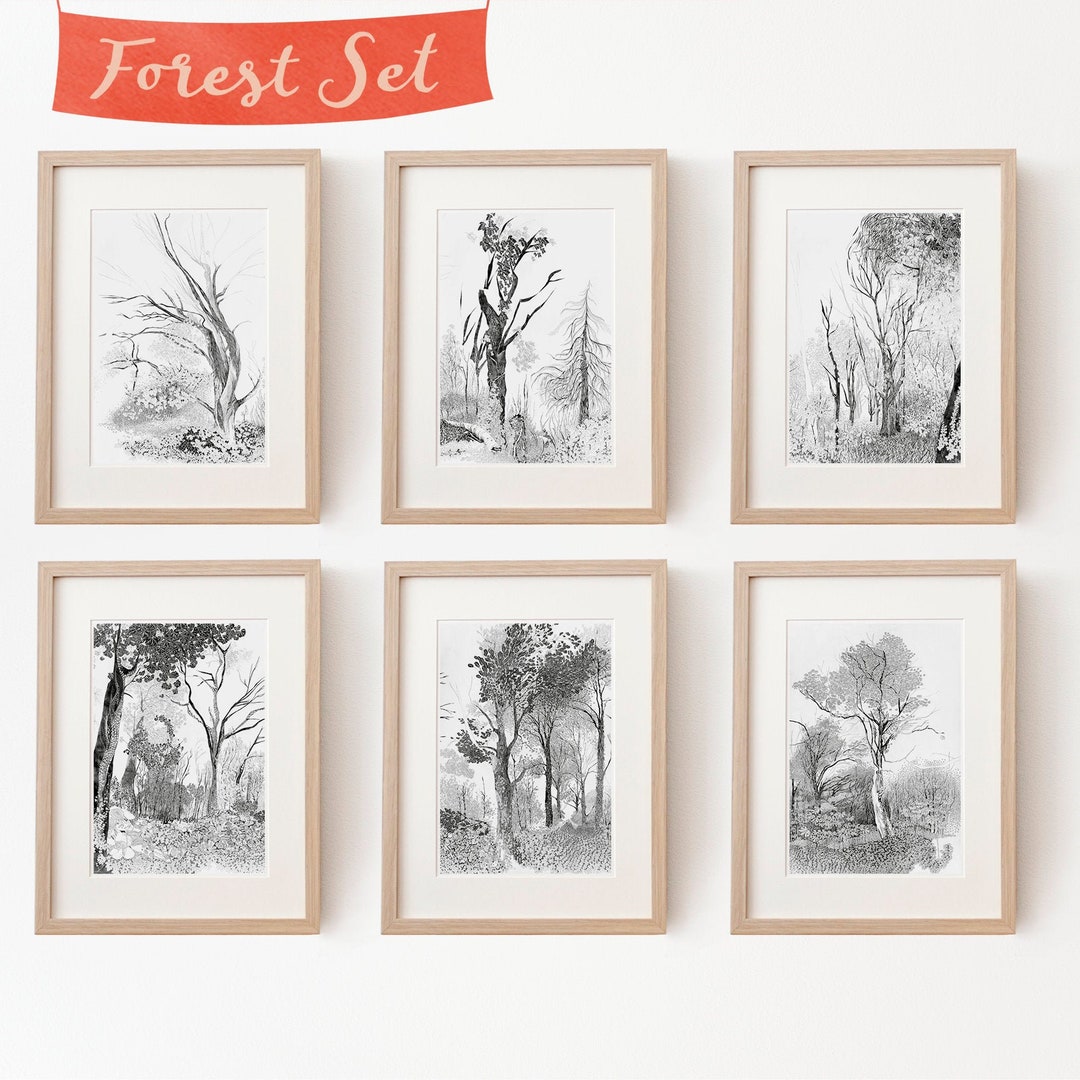 Set of 6 Tree Drawings, Fine Art Print, Hygge Images, Nature Picture ...