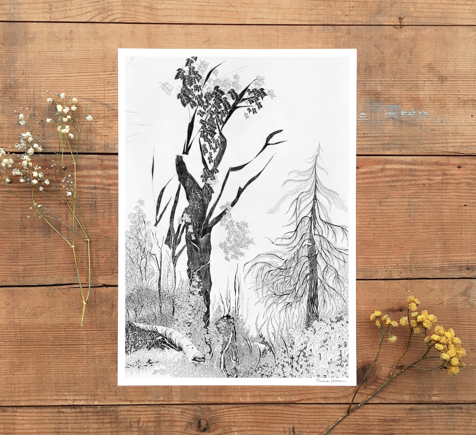 Tree Print Fine Art Print Tree Drawing Autumn Forest Image - Etsy