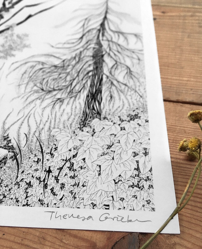 Tree Print Fine Art Print Tree Drawing Autumn Forest Image - Etsy