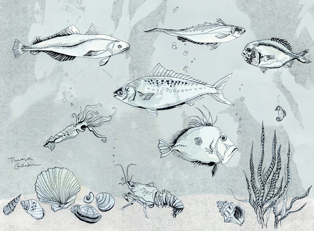 Sea Life Print New Zealand, Fish Art Print, Maritime Illustration, Fish ...