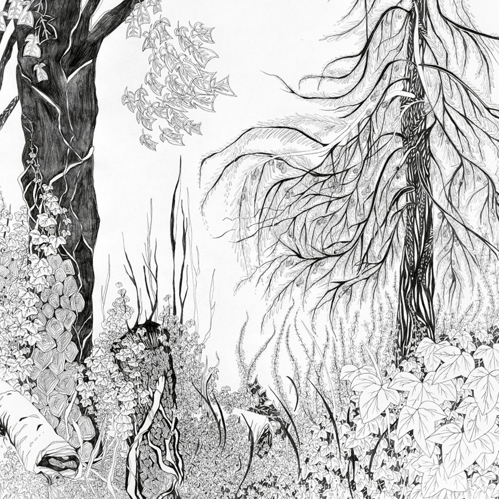 Tree Print Fine Art Print Tree Drawing Autumn Forest Image - Etsy