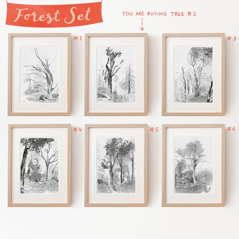 Tree Print Fine Art Print Tree Drawing Autumn Forest Image - Etsy