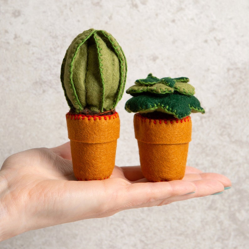 DIY Felt Cactus Set. Easy Care Plants. Simple Felt Pattern. Pattern ...