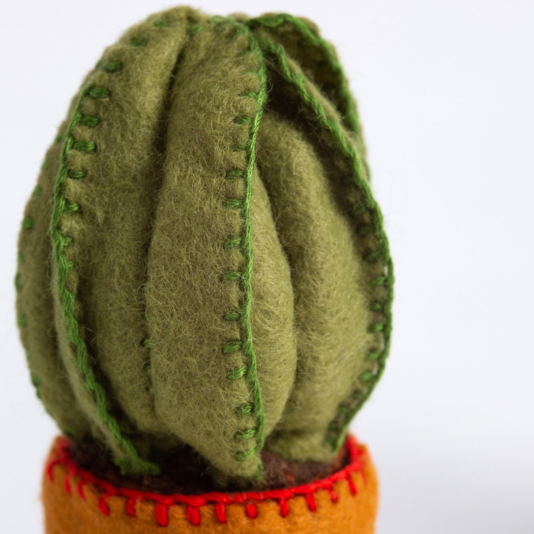 DIY Felt Cactus Set. Easy Care Plants. Simple Felt Pattern. Pattern ...