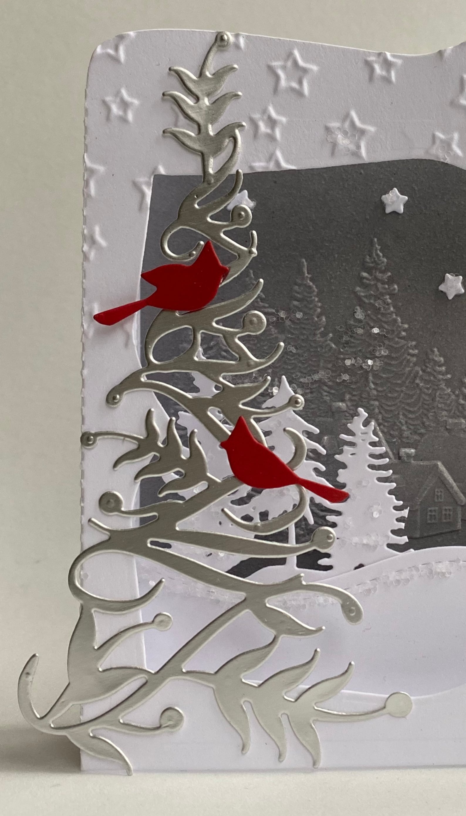 Unique 3D Village Scene With Cardinals Box Card, Hand Made Christmas ...