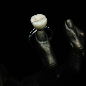 Tooth Ring - Etsy