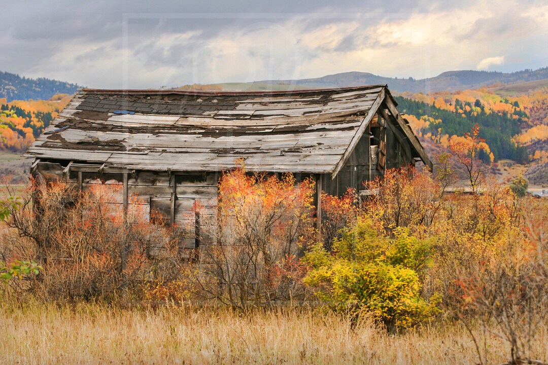 Old Rustic Building in the Fall | Fall Photography | Wyoming | Country ...