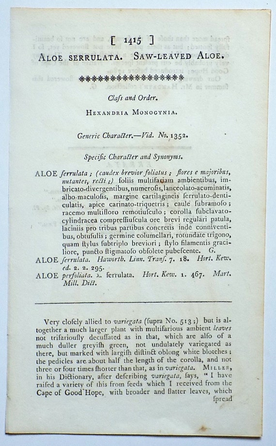 CURTIS Botanical Engraving 1811 Aloe Vera Natural History. Original ...