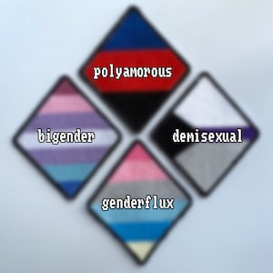 LGBTQ+ Pride Flag Patches -- Embroidered Patches - Etsy