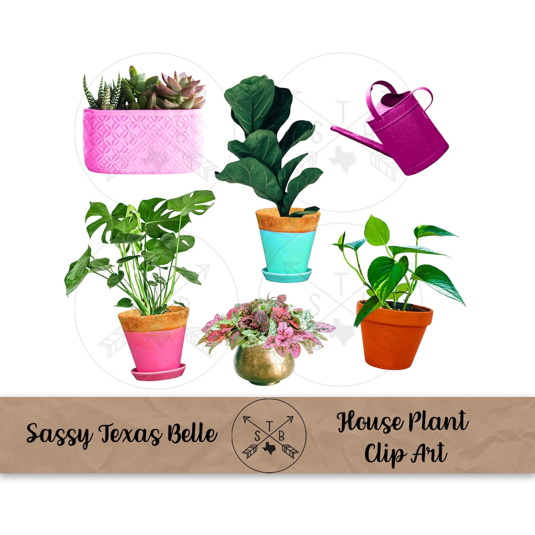 House Plant Clip Art Digital Design Elements Junkin Graphic PNG Instant ...