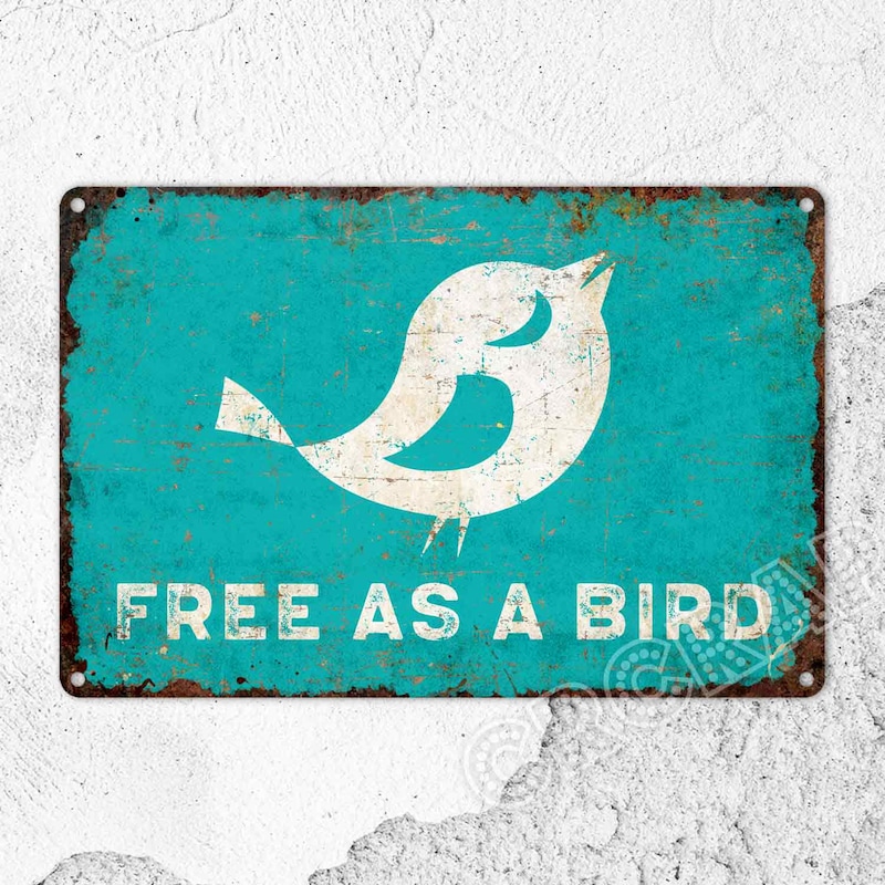 Bird Signs - Etsy