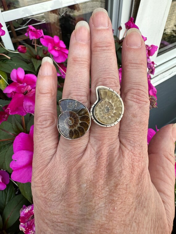 Ammonite ring ring/8 - Gem