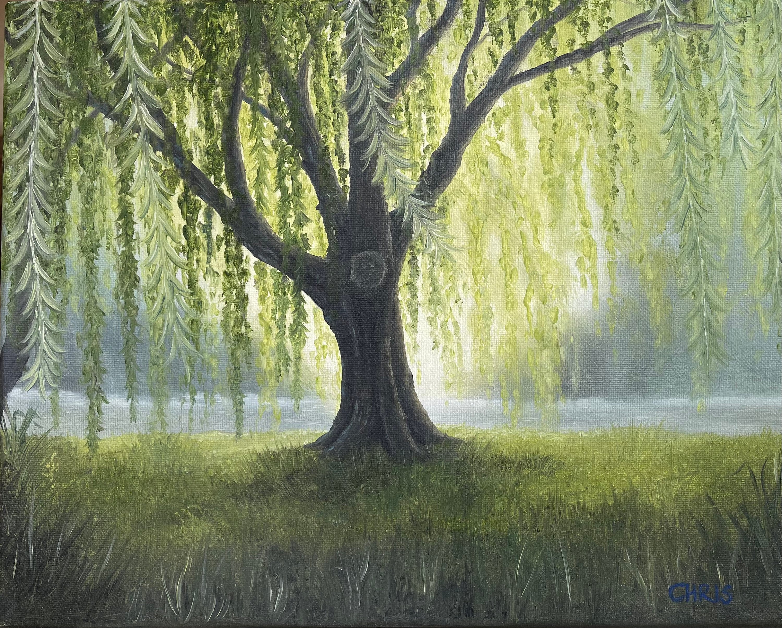 Willow Tree Oil Painting