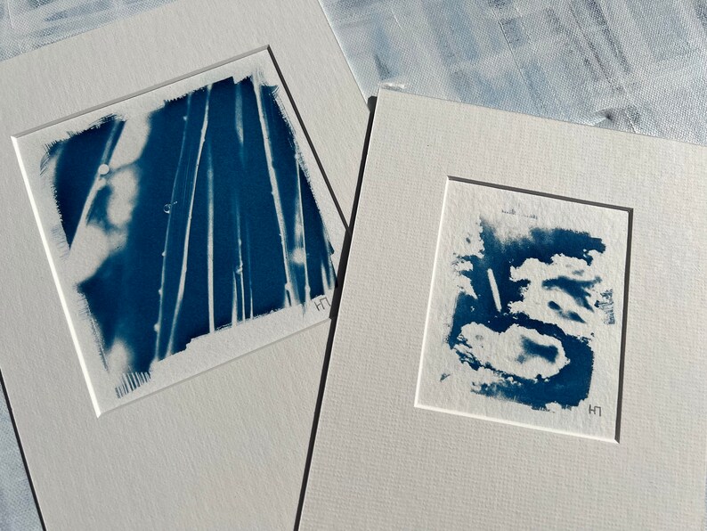 Original Cyanotype - Ready to Be Framed - Hand Made - Unique Piece of ...