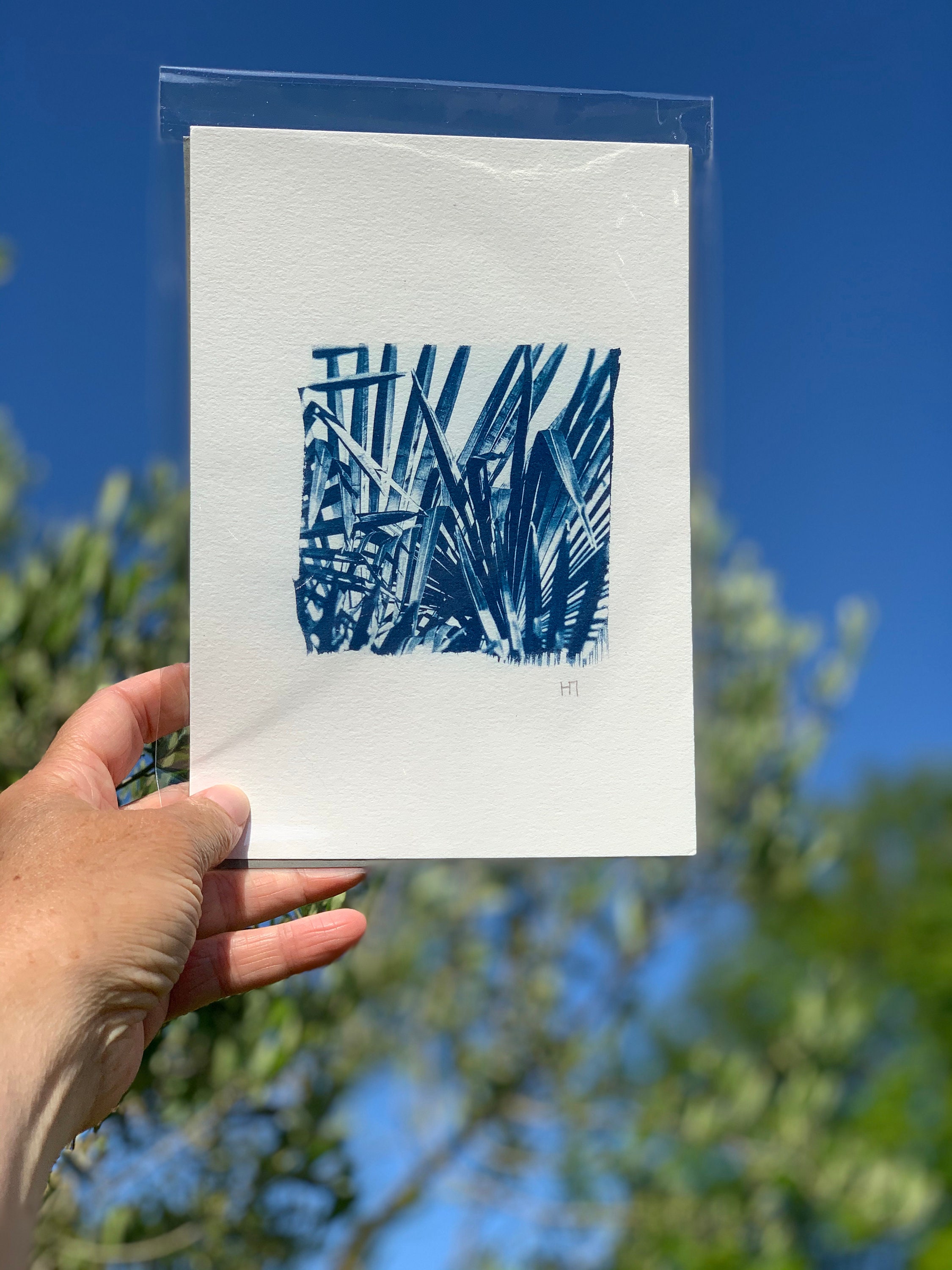 Original Cyanotype - Blue Palm Trees - Hand Made - Unique Piece of Art ...