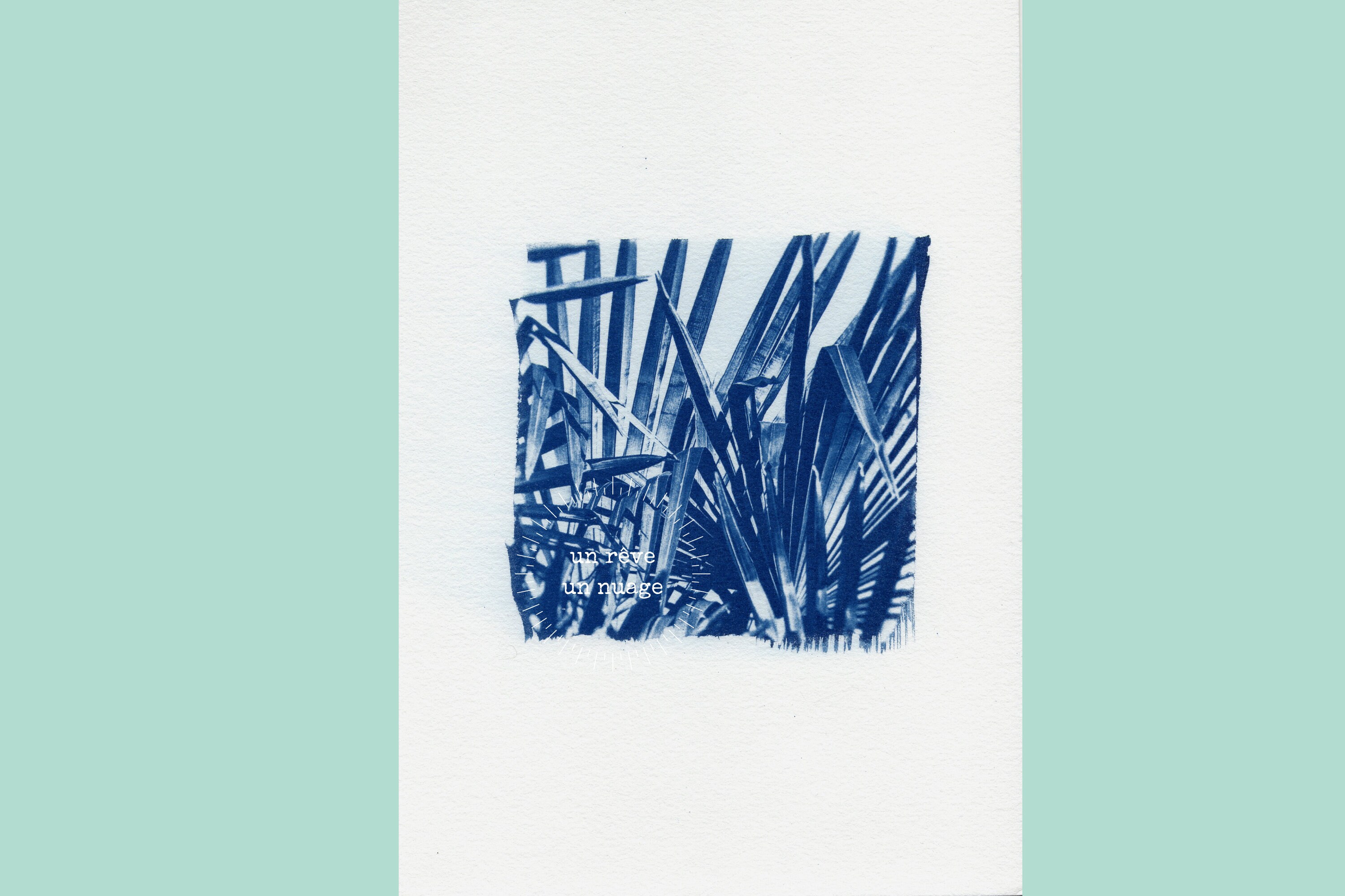 Original Cyanotype - Blue Palm Trees - Hand Made - Unique Piece of Art ...
