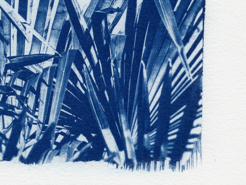 Original Cyanotype - Blue Palm Trees - Hand Made - Unique Piece of Art ...