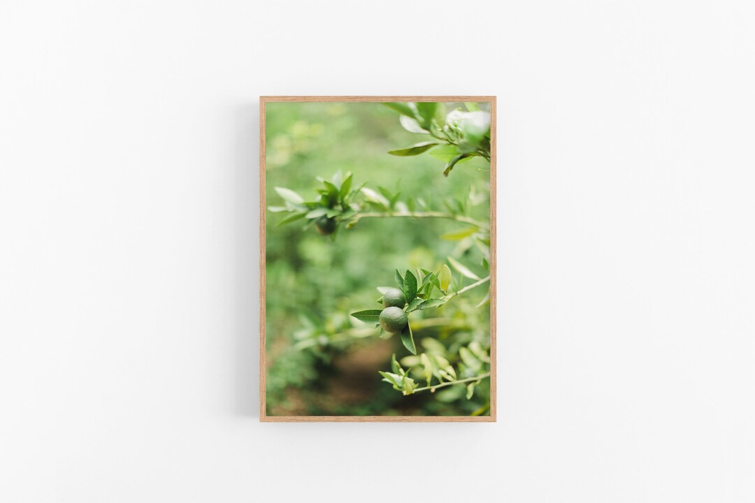 Fruit Tree Digital Print, Greenery Print, Nature Print, Nature Wall Art ...