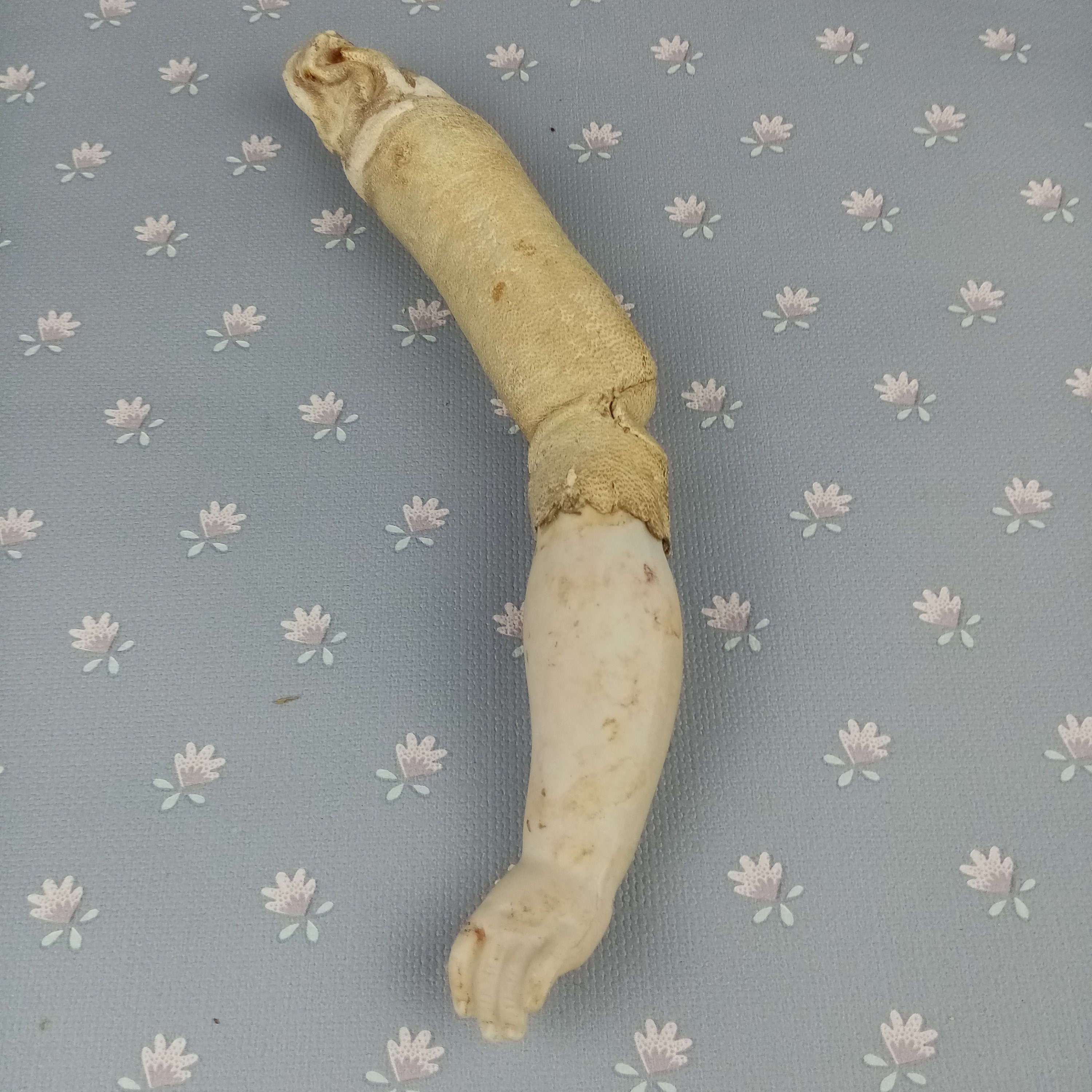 Antique Doll Arm, Parian - China Doll Part, Victorian Doll Leather Body ...