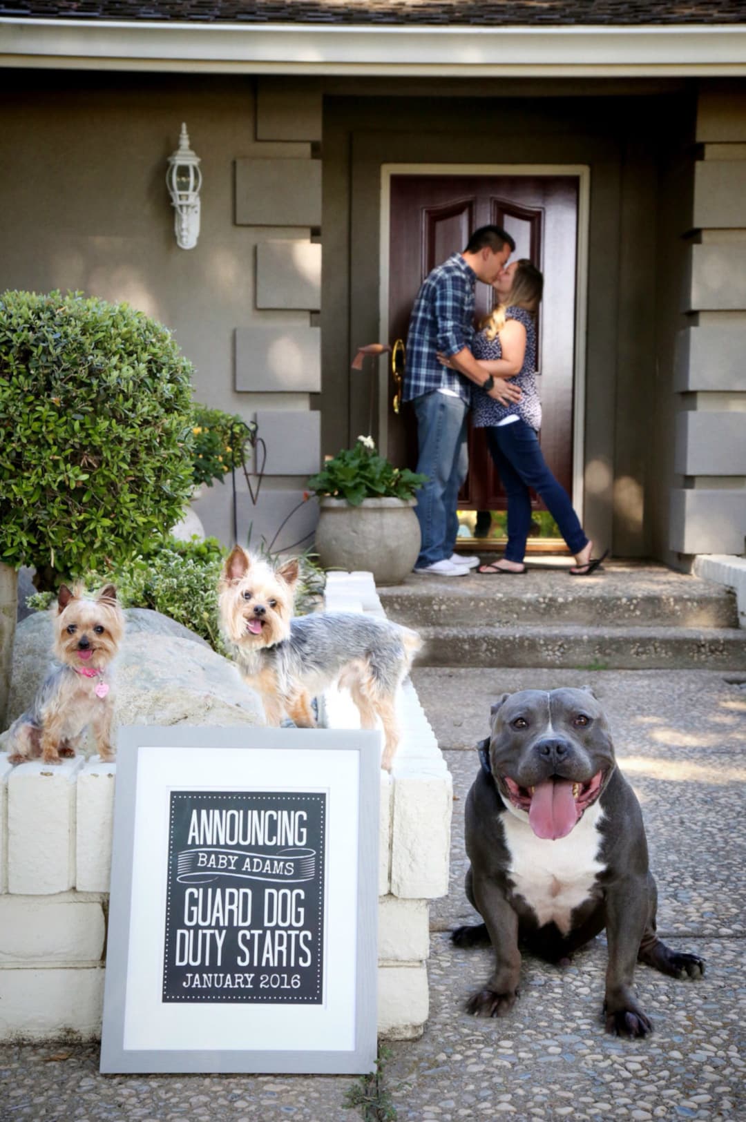 PRINTABLE Announcing Baby Guard Dog Duty Chalkboard Pregnancy ...