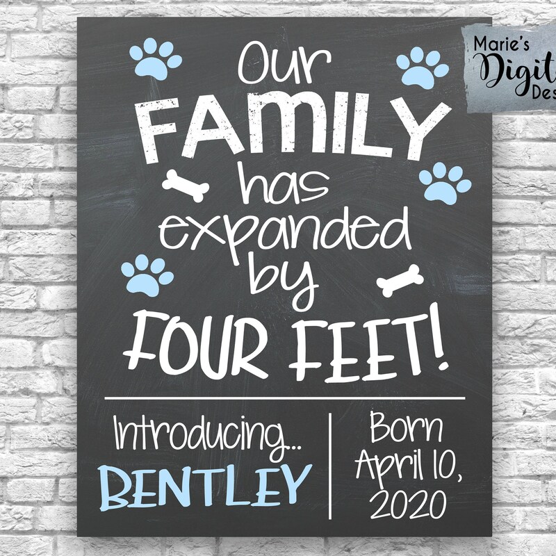 Puppy Announcement - Etsy