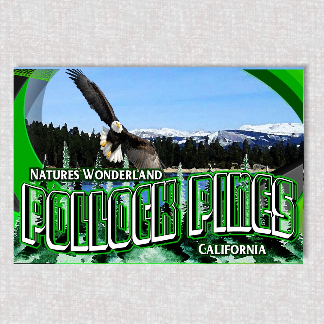 Pollock Pines 12x18 Metal Sign PH679 - Etsy UK