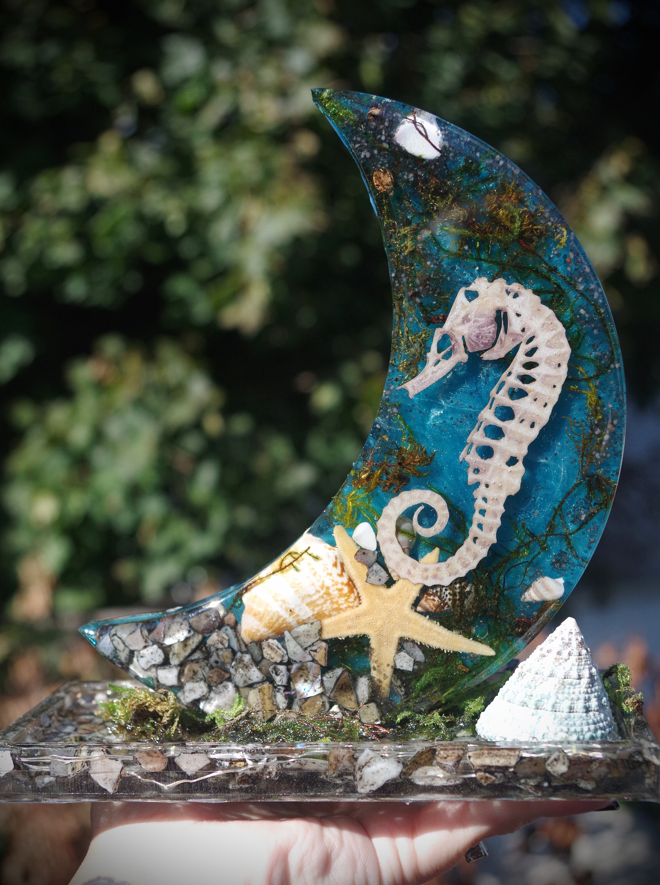 Macabre Seahorse Skeleton Ocean Scene Starfish and Seashells Hand Made ...