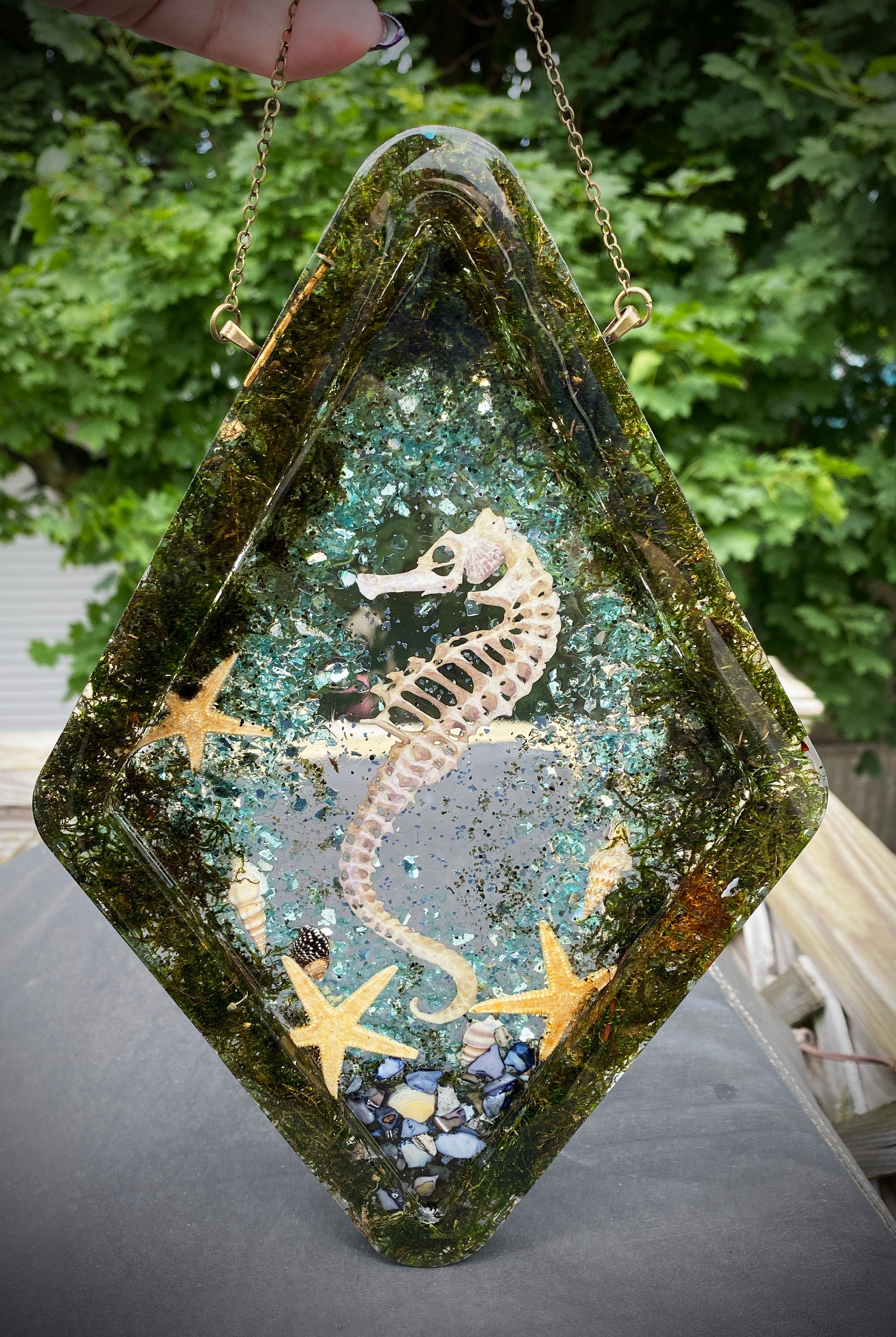 Macabre Seahorse Skeleton Ocean Scene With Moss, Starfish, Seashells ...