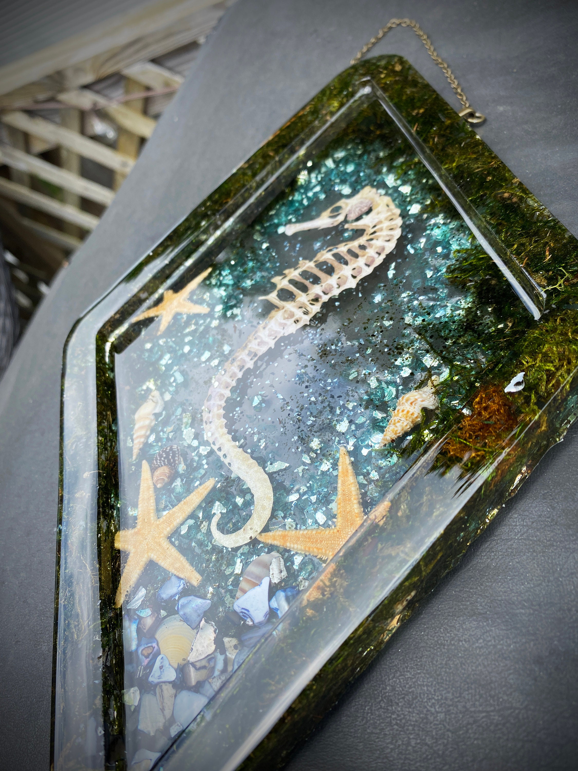 Macabre Seahorse Skeleton Ocean Scene With Moss, Starfish, Seashells ...