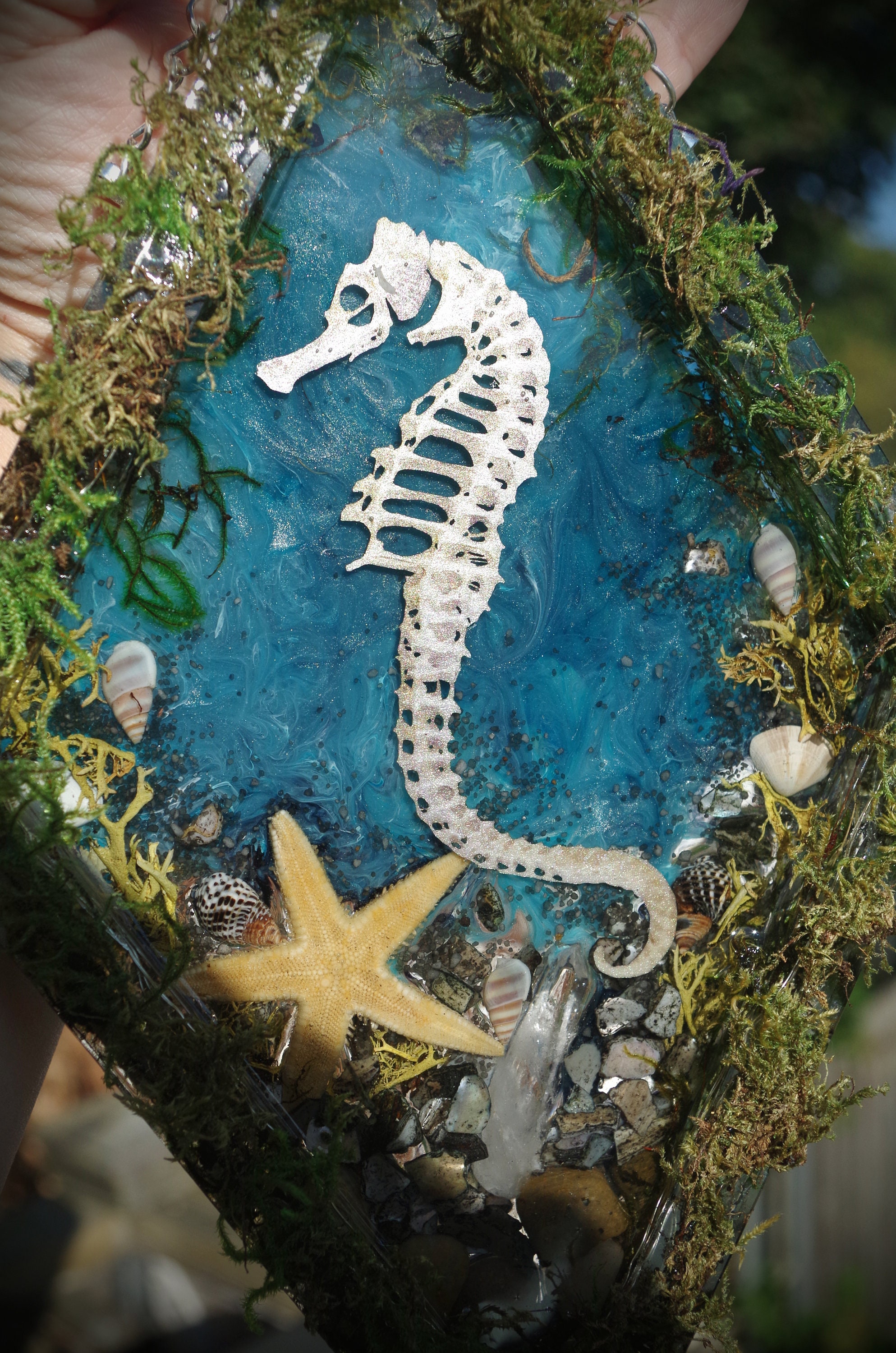 Seahorse Skeleton Ocean Scene Starfish and Seashells Hand Made Resin ...