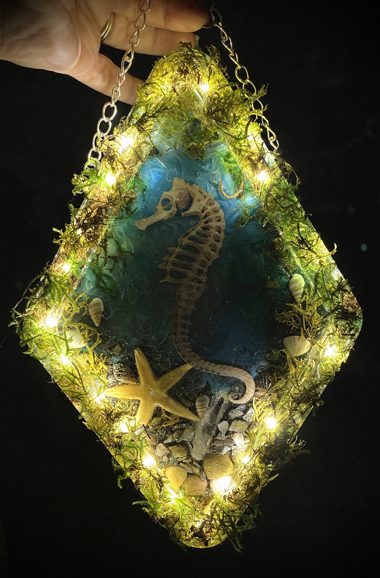 Seahorse Skeleton Ocean Scene Starfish and Seashells Hand Made Resin ...