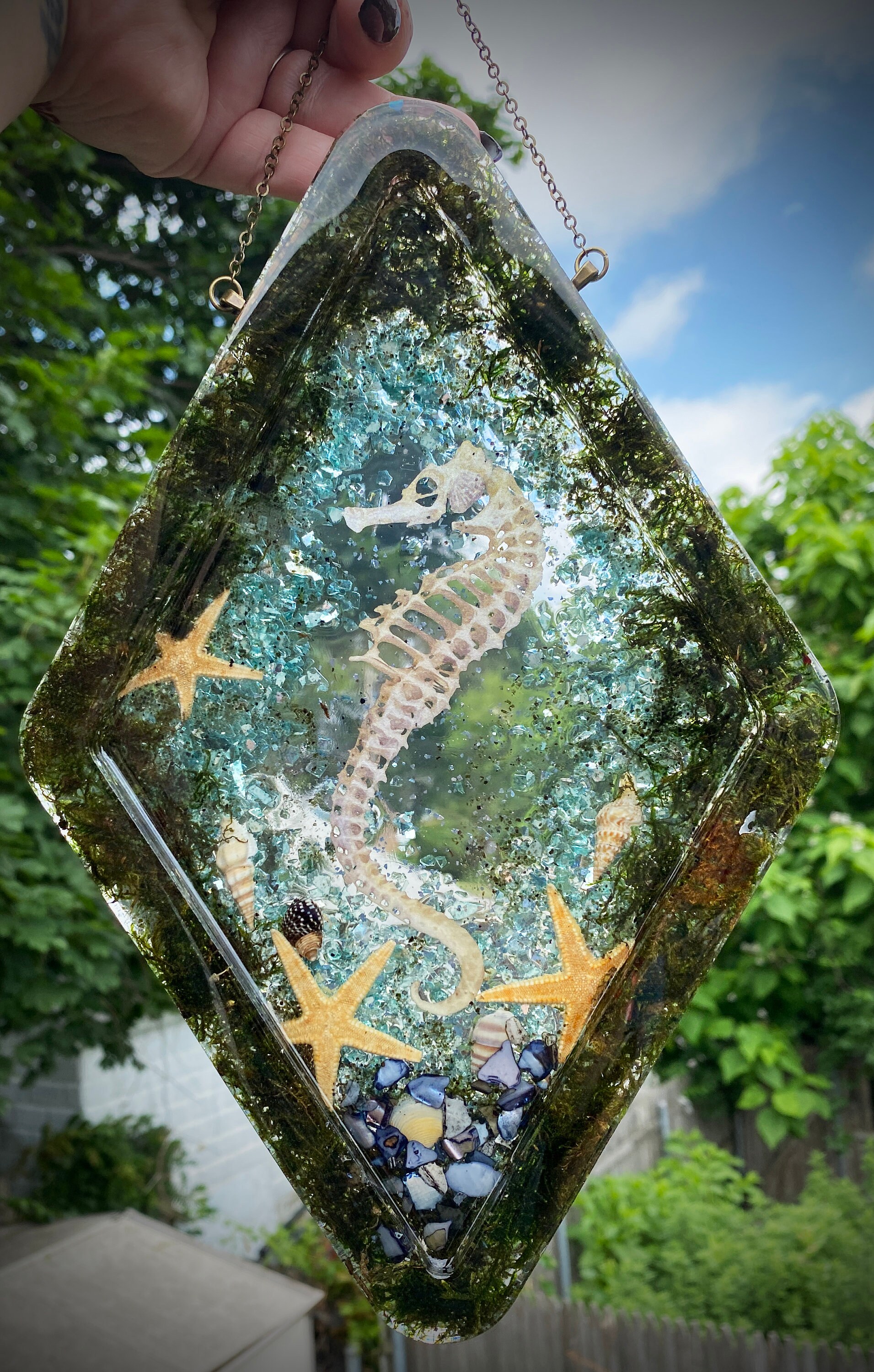 Macabre Seahorse Skeleton Ocean Scene With Moss, Starfish, Seashells ...