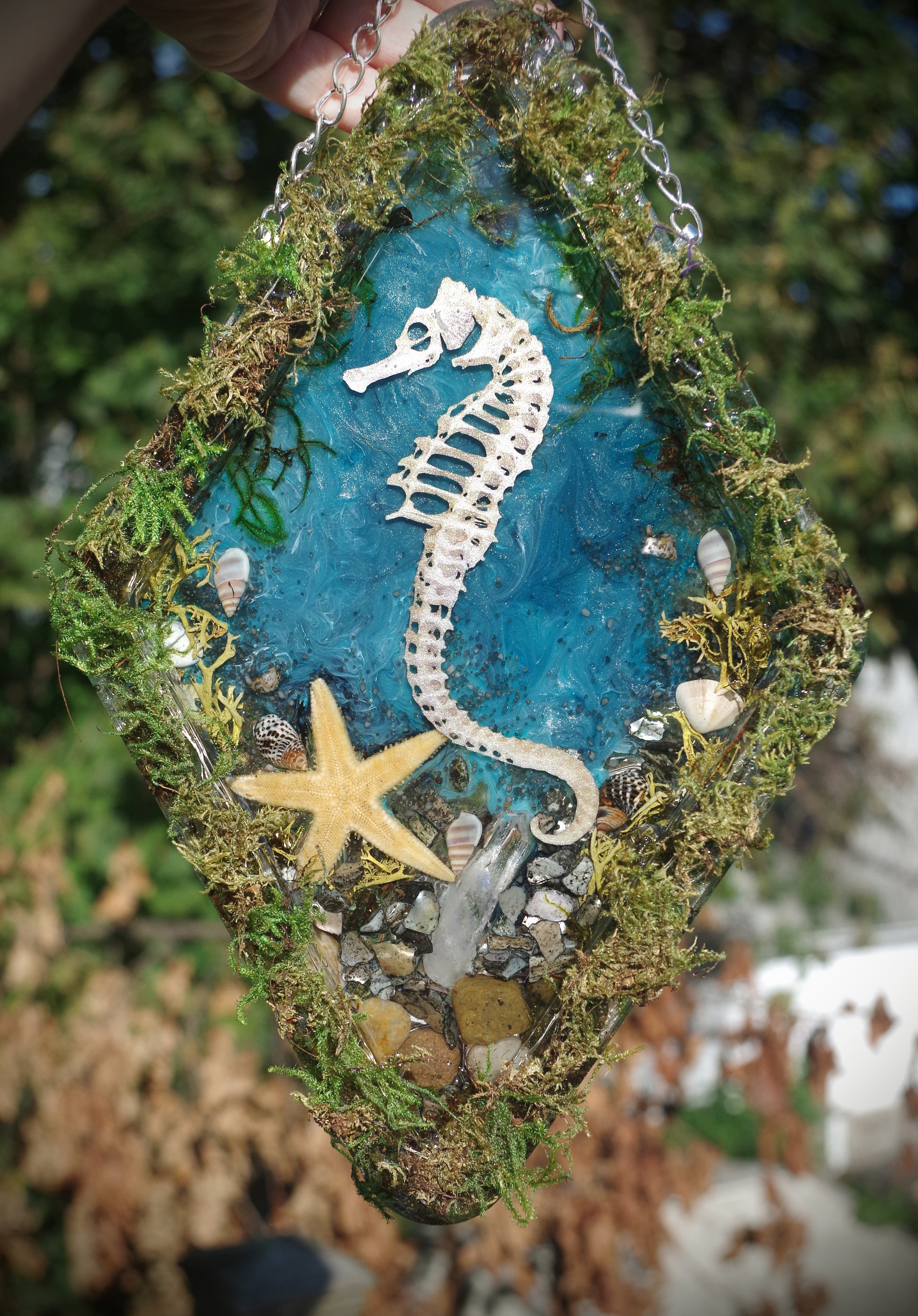 Seahorse Skeleton Ocean Scene Starfish and Seashells Hand Made Resin ...
