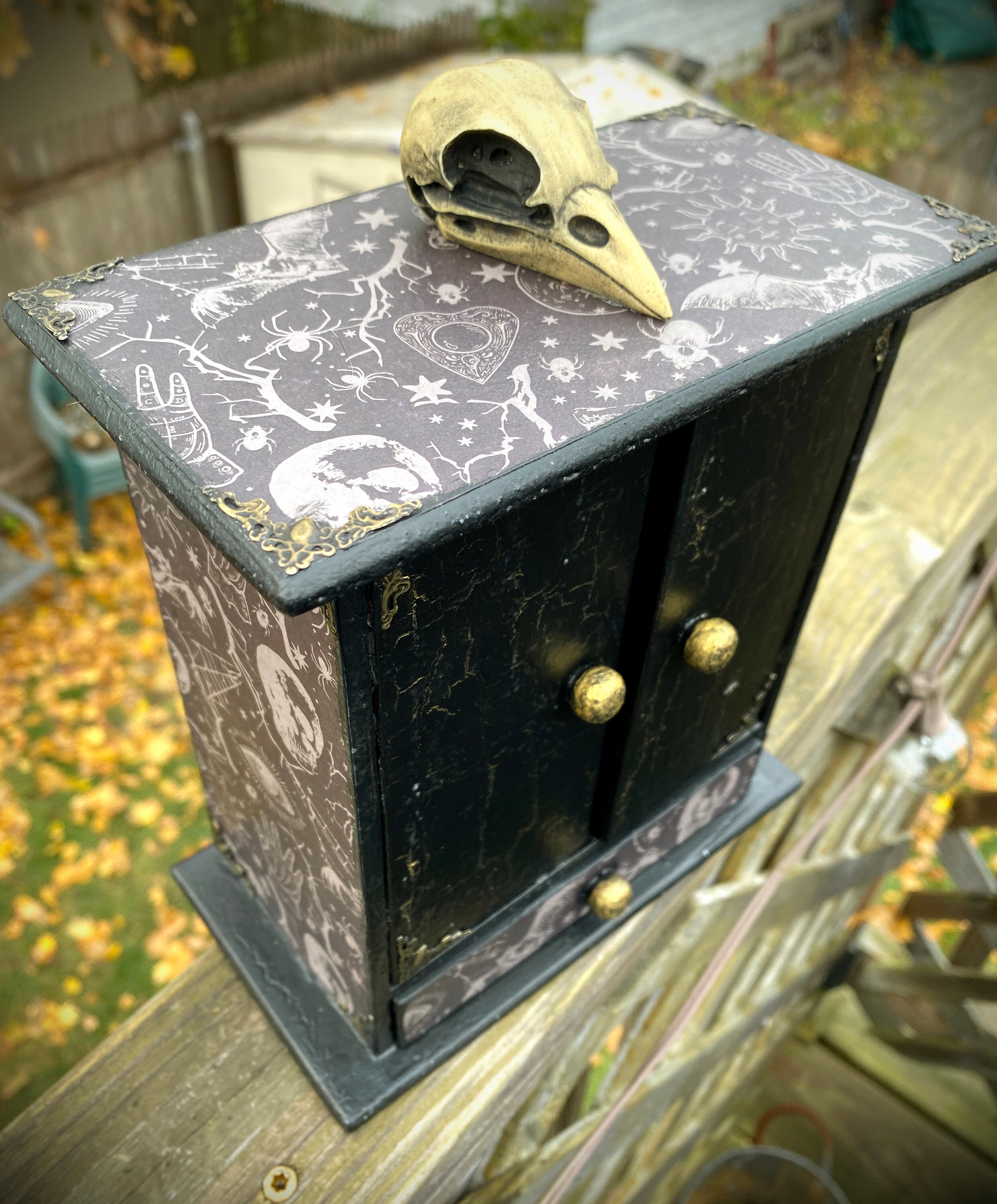 Up-Cycled Curio Cabinet Raven Skull Mystic Print Hand Made Altar ...