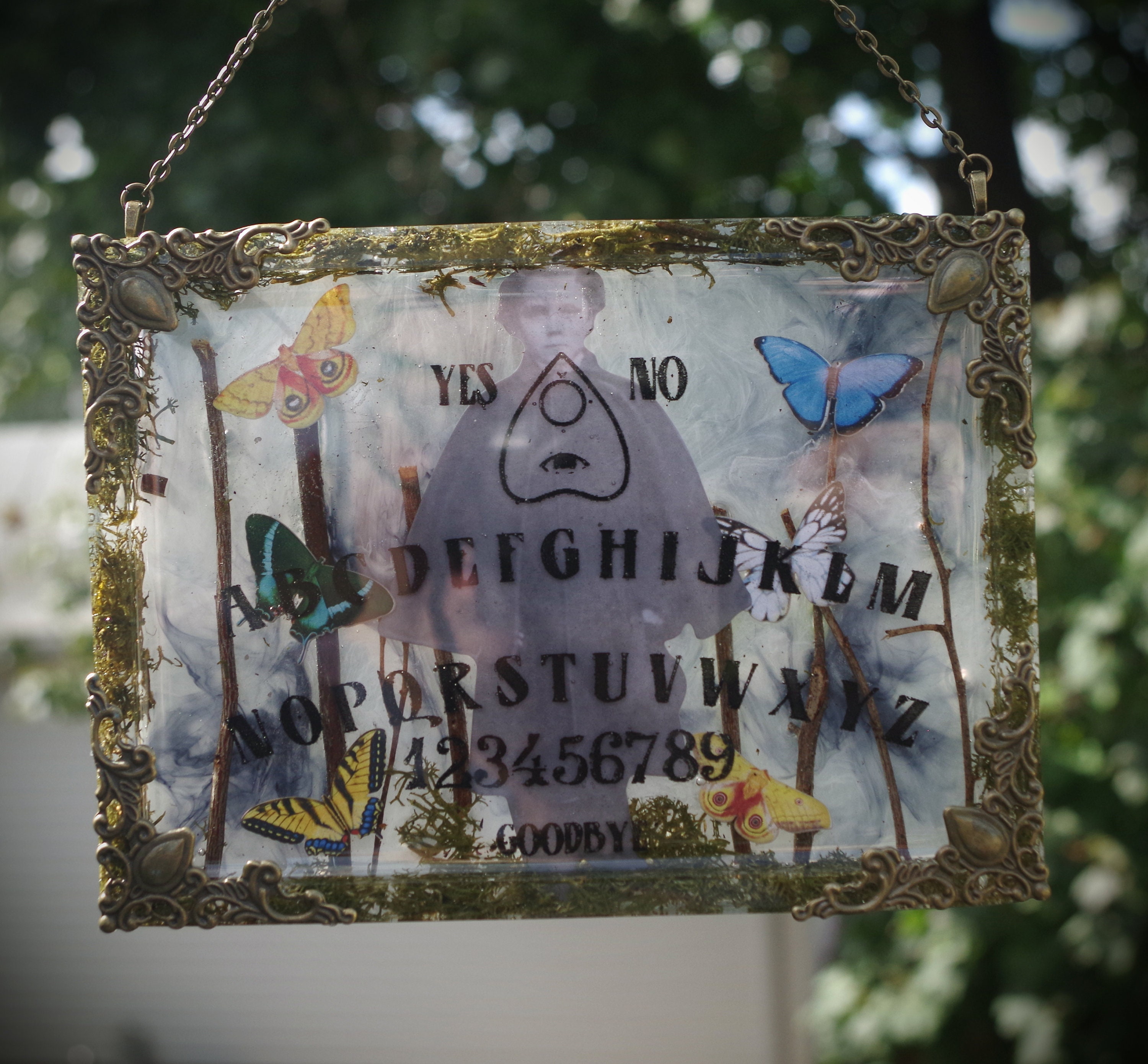 Hoia Baciu Forest Collection Insect Queen Ouija Spirit Board ...