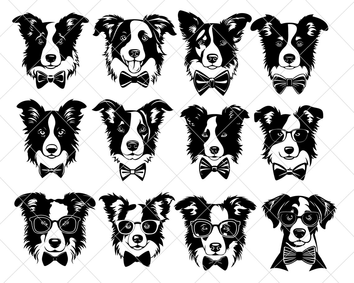 Dapper Border Collies SVG PNG Jpg Dxf Eps Pdf, Clipart, Dog, Top Hat ...