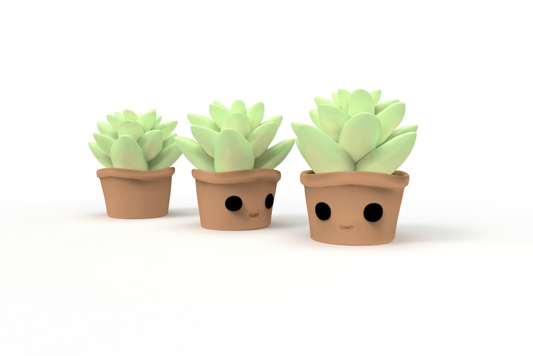 Cute Succulent 3D Printing STL File - Etsy